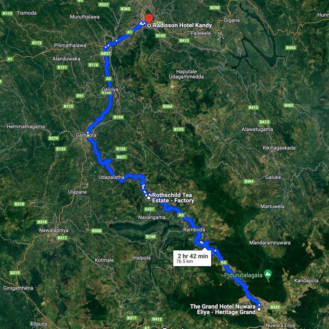 Riding through tea plantations – Extreme Bike Tours