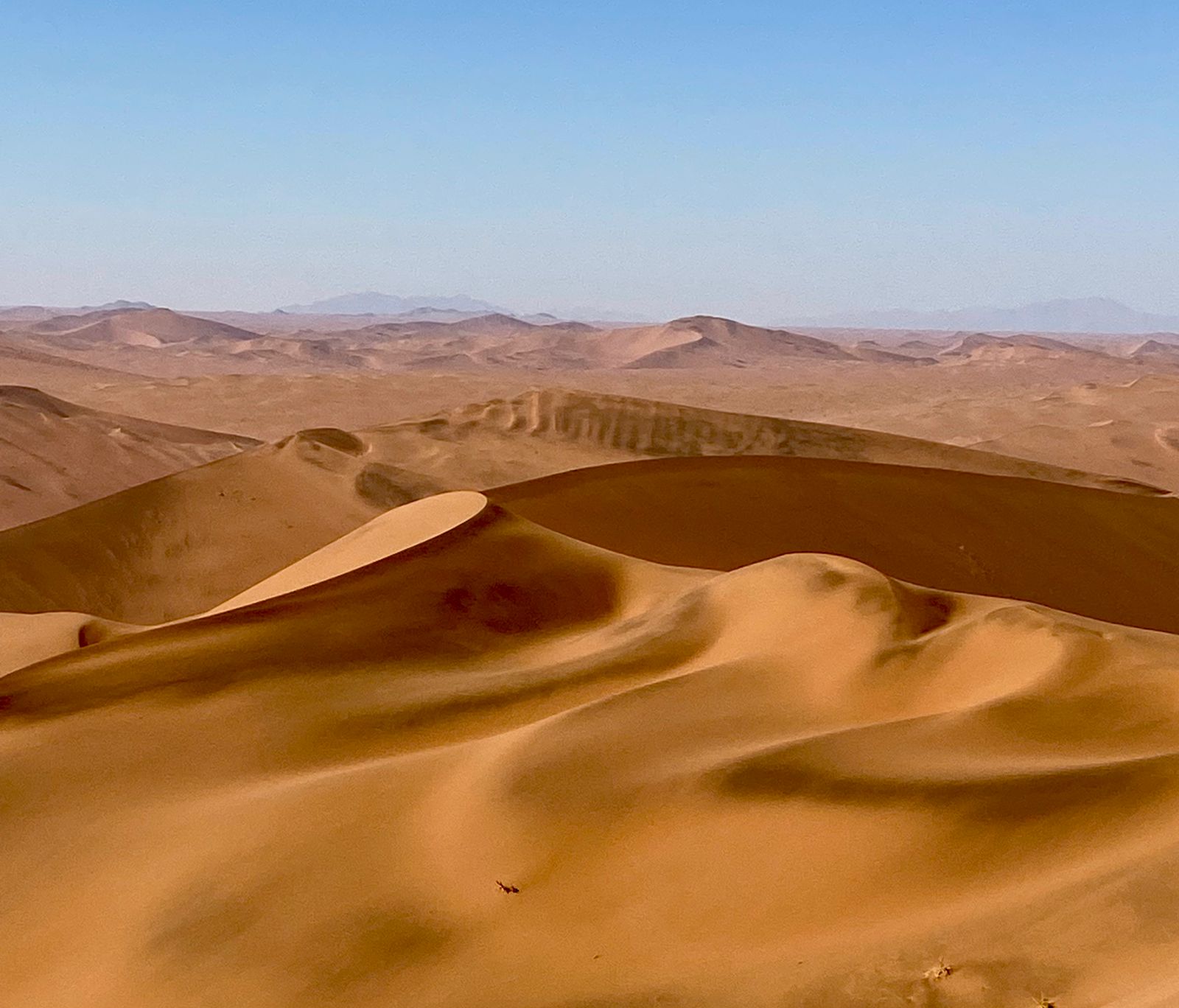 Namibia 2024 – The Desert Rotte – Extreme Bike Tours
